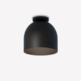 Rio Ceiling - Robin Decorative Lighting Brand